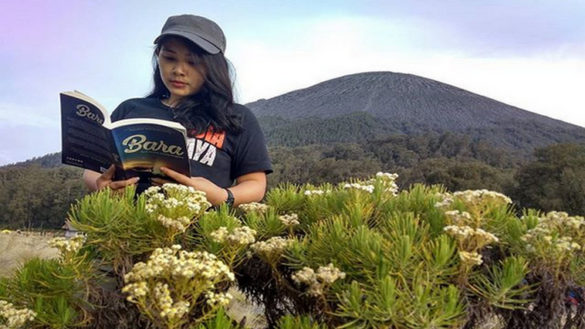 7 Gunung di Pulau Jawa dengan Pemandangan Bunga Edelweis yang Indah ...